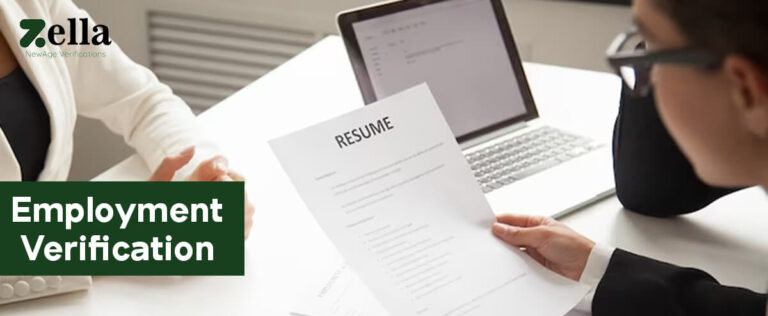 What is Employment Verification? All the Information You Need
